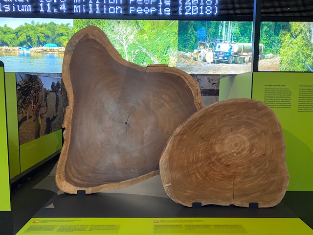 africamuseum_timber_02 – Trip By Trip