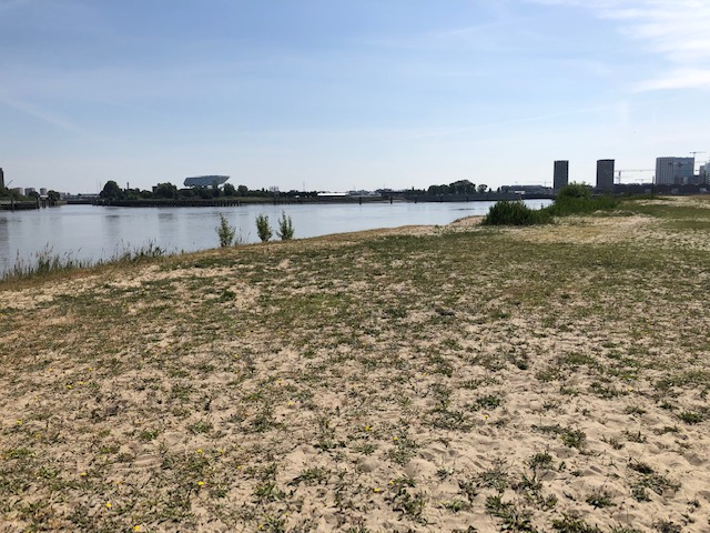 Antwerp to redevelop Sint-Anneke Beach – Trip By Trip