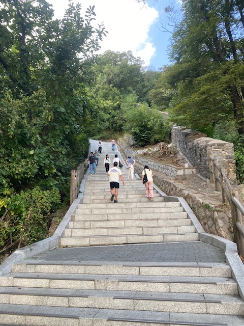 SEOUL | Namsan Mountain Park and N Seoul Tower – Trip By Trip